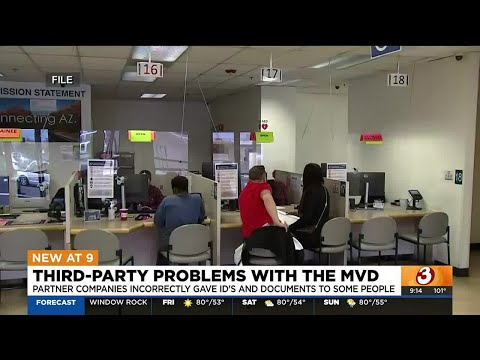 Audit of MVD shines light on third-party companies errors.