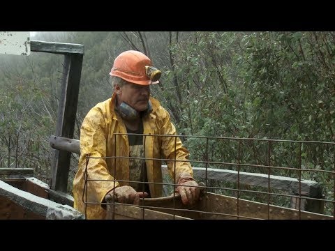 Gold, Faults and Fluids
