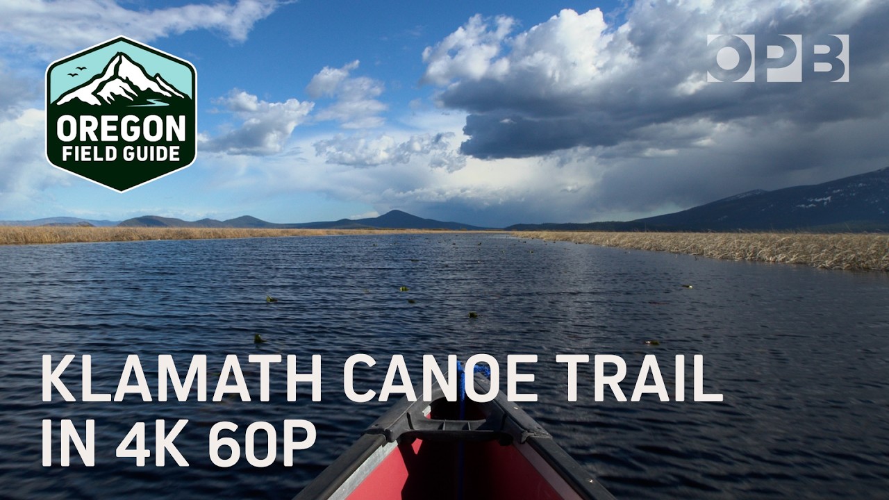 Paddle the Klamath Canoe Trail in 4K 60fps – OPB’s Slow TV