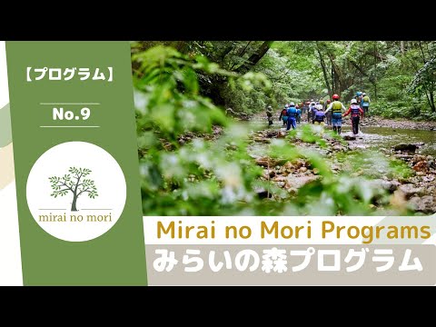 Mirai no Mori & KIWL partnership 2023 - GlobalGiving