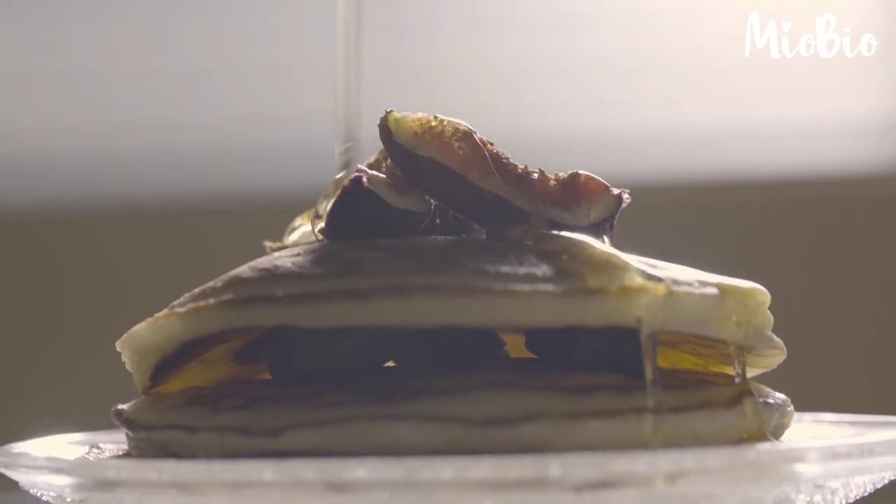 ¿Qué hacer con tu Deshidratador? | Deshidratar alimentos | MioBio Chile