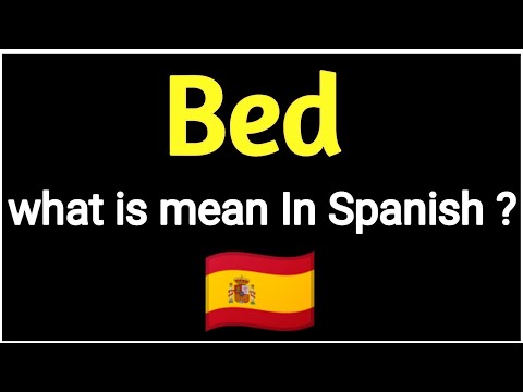 How To Pronounce " Bed " In Spanish language 🇪🇸 .