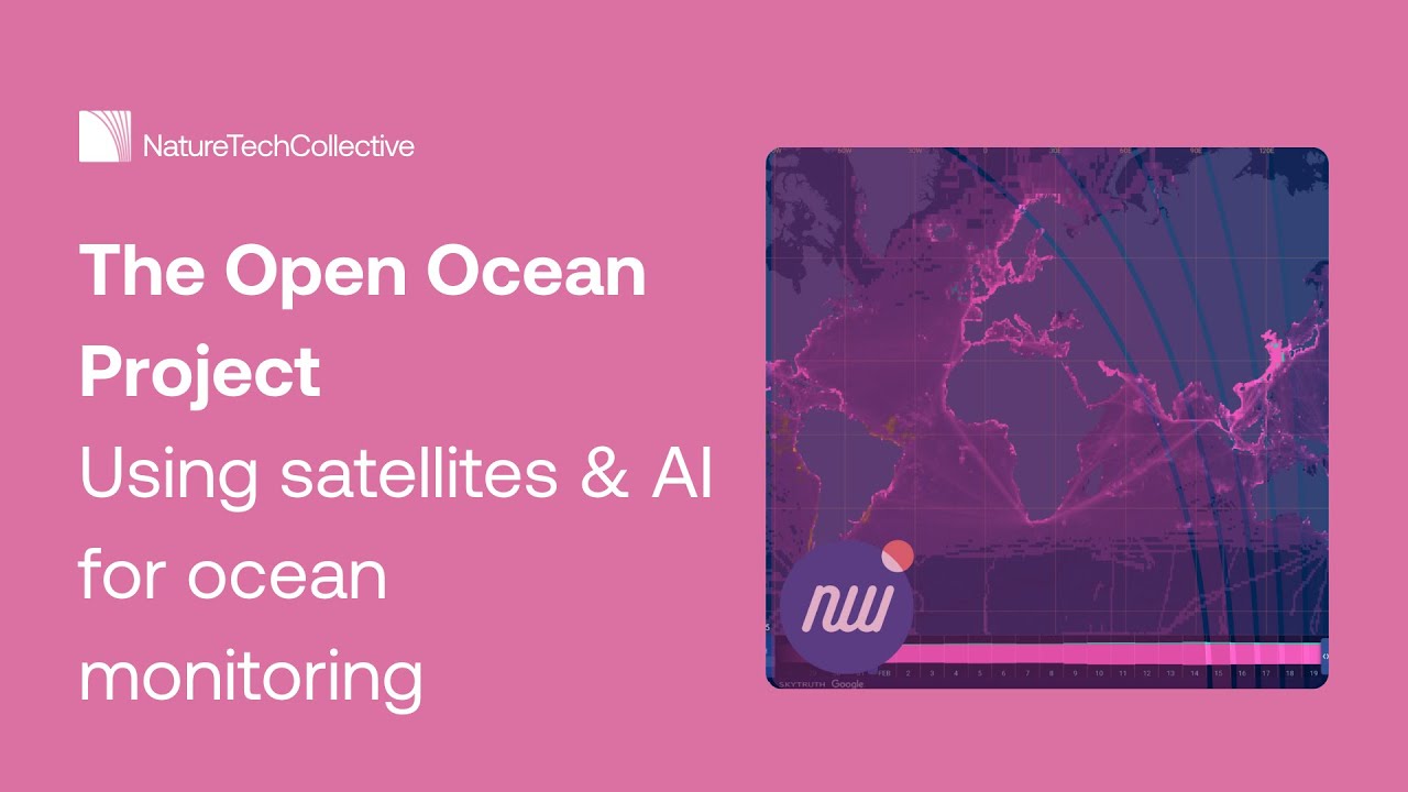 Satellites + AI: Inside the Open Ocean Project Mapping Our Seas