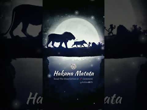 "Hakuna Matata" means "no worries" or "no problems". #happiness #hakunamatata #shorts