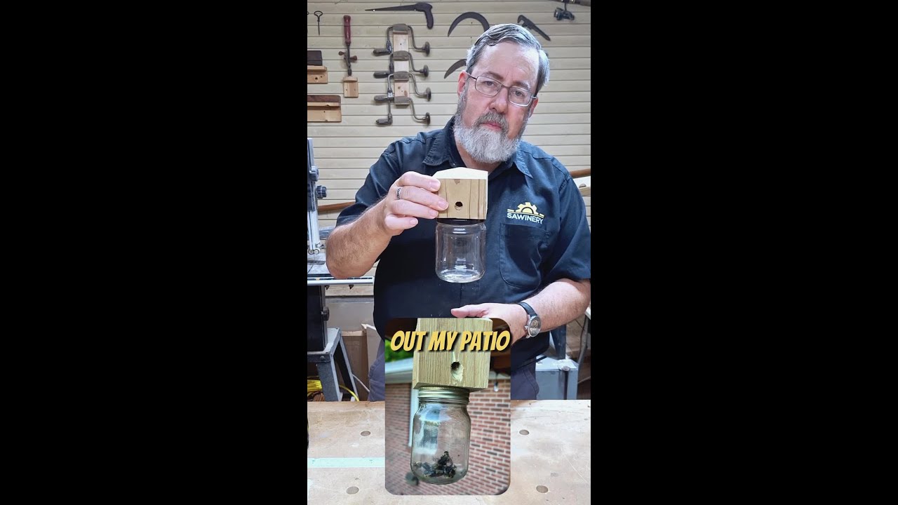 Tired of Carpenter Bees? Build This Simple and Effective Trap! #Woodworking #Shorts