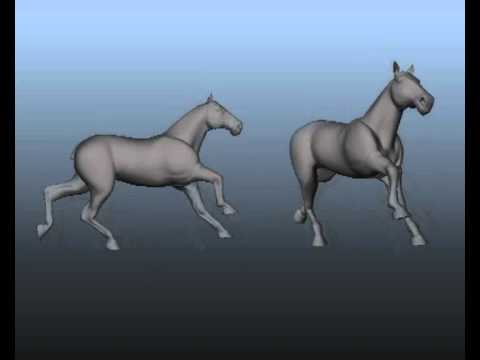 Quadruped Animation – Horse Gallop Cycle | PaRrOt Animation Blog