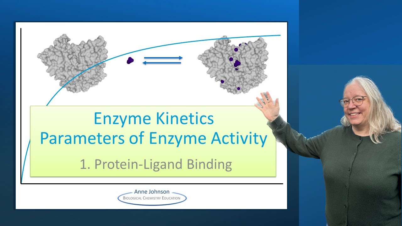 Enzyme Kinetics pt. 1: protein-ligand binding