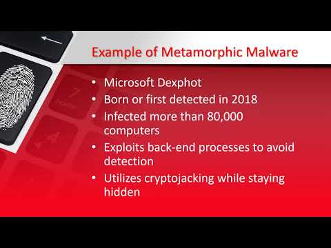Metamorphic/Polymorphic Malware