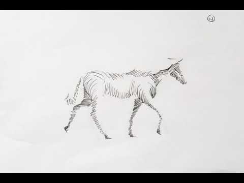 My Top 3 Projects Completed in My SCAD Animation Class – Mrs. Miller ...