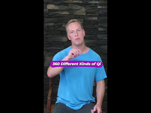 360 Different Kinds of Qi #shorts