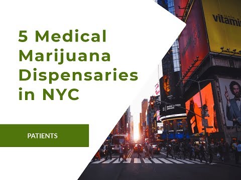 Get to Know the 5 Medical Marijuana Dispensaries in NYC