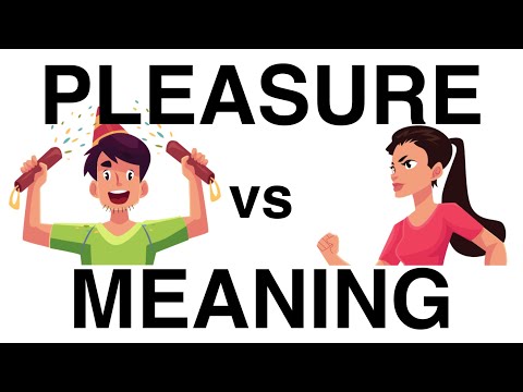 Pleasure vs Meaning (What are you living for?)