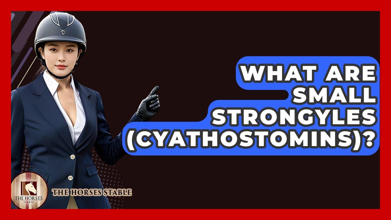 What Are Small Strongyles (Cyathostomins)? - The Horses Stable