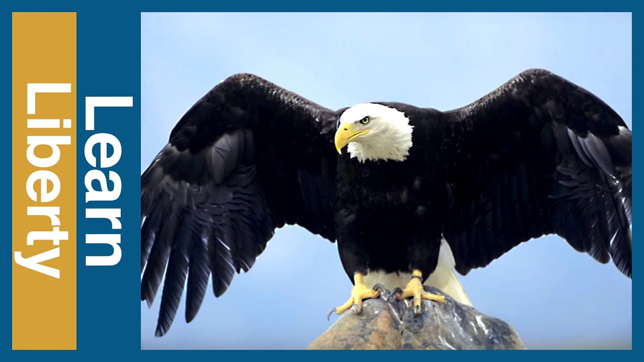 Saving Endangered Species