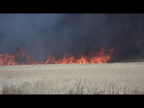 Major Solano County Grass Fire Along Pedrick Road | City News Support