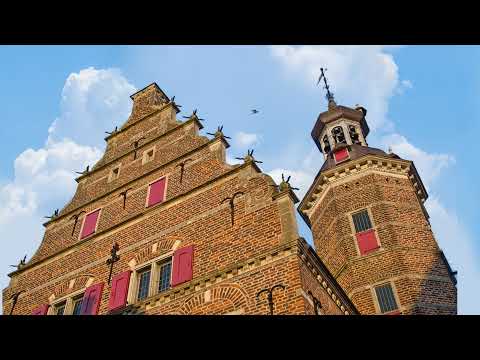 Livestream Ooievaars Gennep
