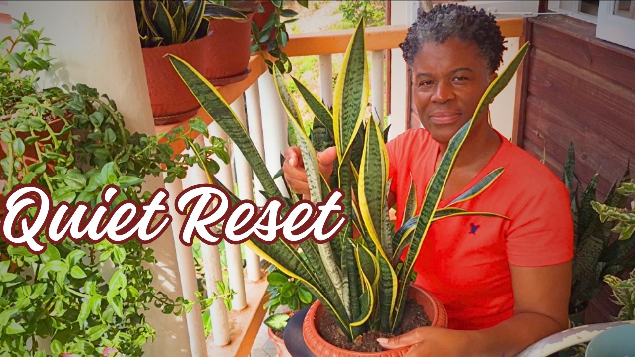 “Some Days Are HARD…So I Cleaned My Plants 🪴 | Just Getting Through