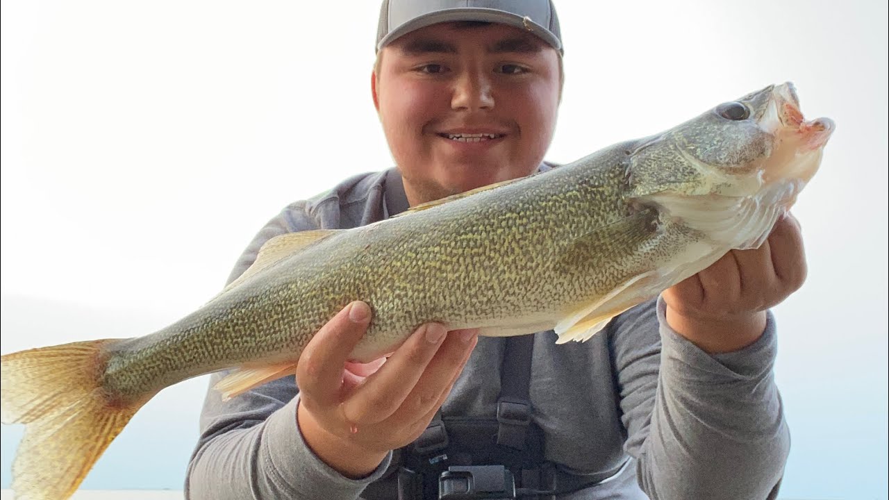 Unexpected walleye catch at Maumee Bay!