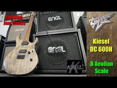 2016 Kiesel DC600H - gorgeous Antique Ash neck-thru-body | Reverb