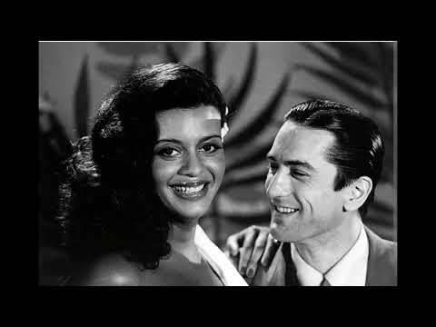 The First Wife of Bobby DeNiro: Diahnne Abbott