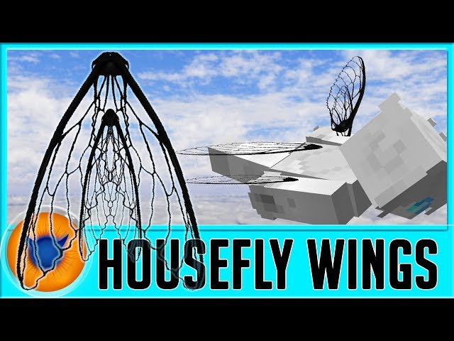 HOUSEFLY WINGS ELYTRA HD Realistic | Fly Wings Wearable in Survival ...
