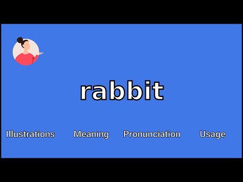 RABBIT - Meaning and Pronunciation