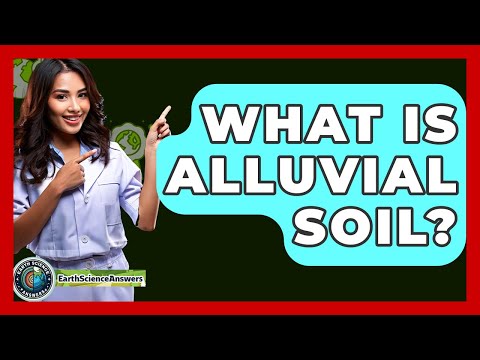 What Is Alluvial Soil? - Earth Science Answers