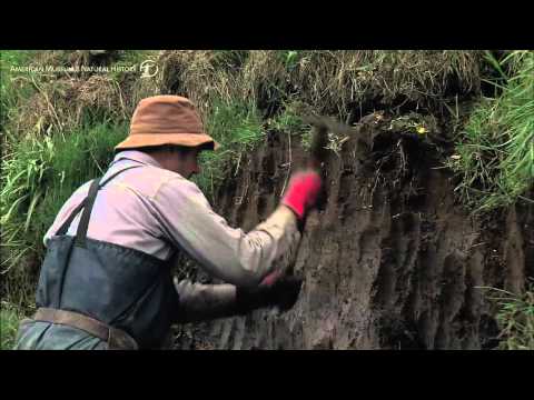 Science Bulletins: Tsunami Science—Reducing the Risk