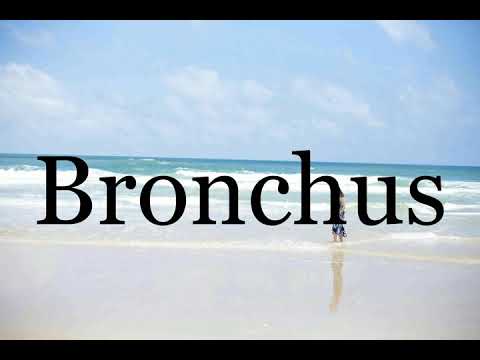 How To Pronounce Bronchus๐๐๐๐๐๐Pronunciation Of Bronchus