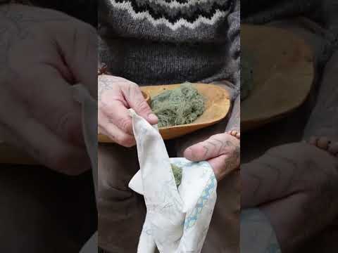 Wound Care With Usnea or Old Man’s Beard