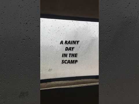 Rainy Day in a 13ft Scamp Travel Trailer #scamp #coloradocamping #solotraveler #short #husky #nomad