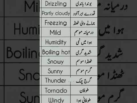 10 English Words That Mean Crazy