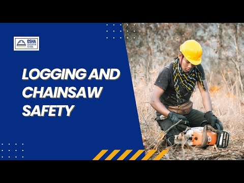 Logging & Chainsaw Safety Training | Forestry Industry | Workplace Safety Certification