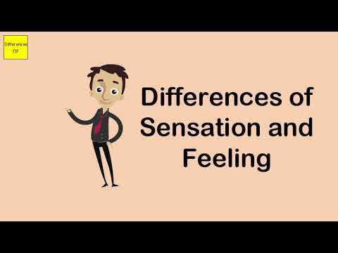 Differences of Sensation and Feeling