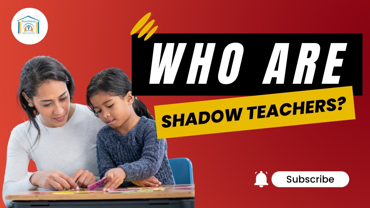 Who are shadow teachers ?