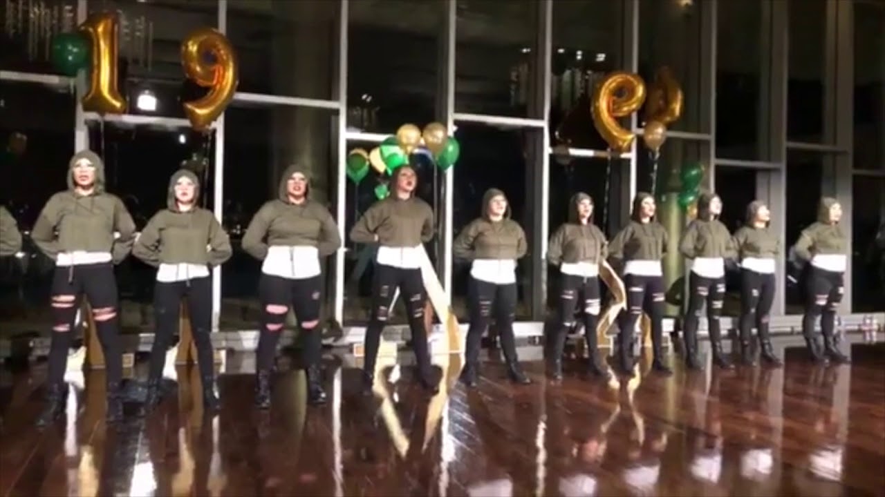 Delta Chapter Probate Spring 2018 - Pi Lambda Chi