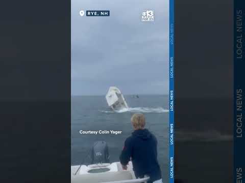Whale capsizes boat off coast of New Hampshire