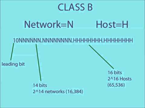 IP Addressing and How it Works