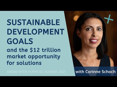 Sustainable development goals and the $12 trillion market opportunity for solutions