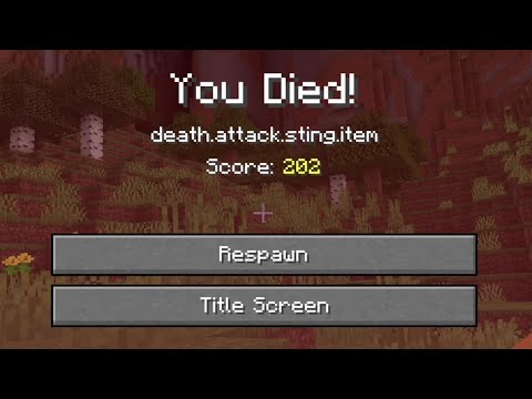 Minecraft's Secret Death Message! (1.17)