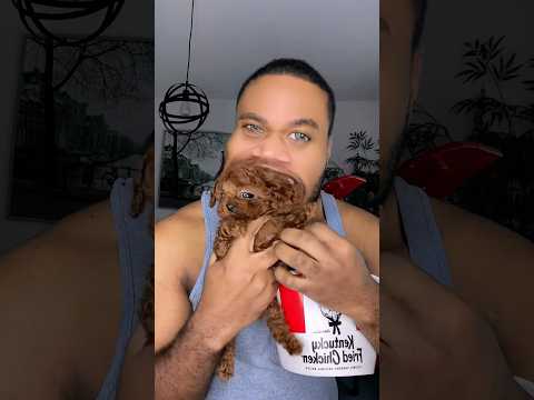 So juicy! #funny #comedy #memes #puppy #viralvideo #cute #petsrule