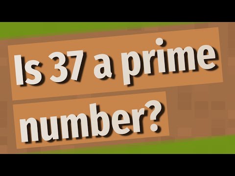 Is 37 a prime number?