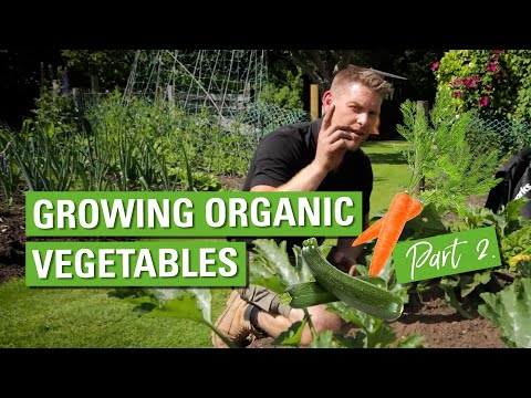 Growing Organic Vegetables Part 2