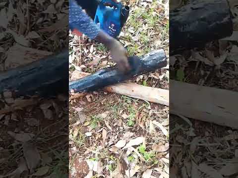 Treatment of fence posts locally using old engine oil.