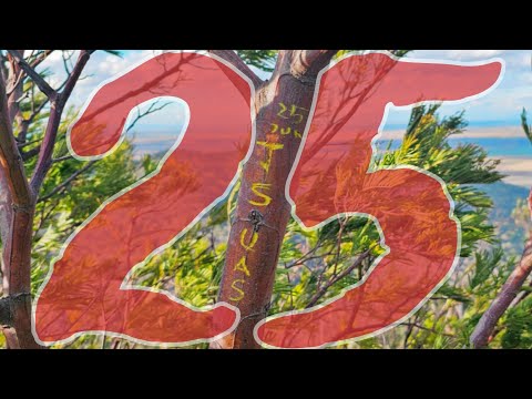 25