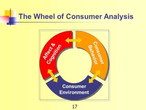 Wheel of Consumer Analysis: how to concentrate conflict management in ...