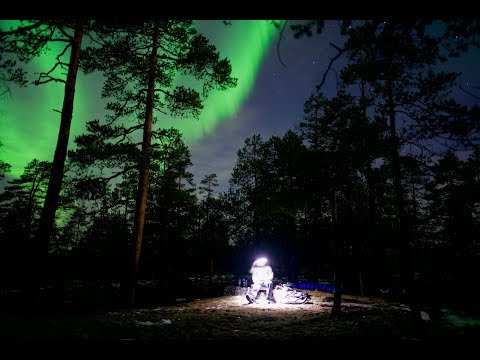 Vinternatt under Norrskenet – Erik Normark