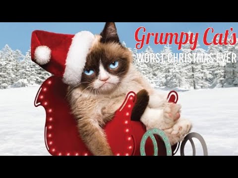 Grumpy Cat's Worst Christmas Ever 2014 Christmas Film | Aubrey Plaza, Megan Charpentier | Review