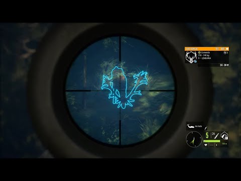 Steam Community :: Video :: the best red deer hunt⁸