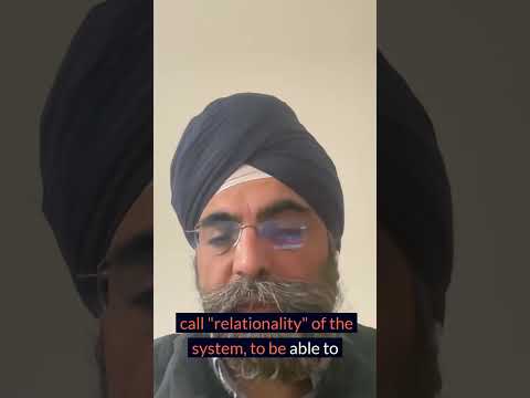 What does an organization mean in a Complex World?